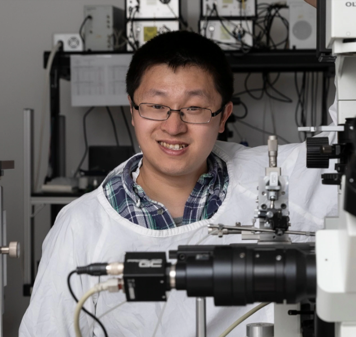 研究 | 悉尼大学与浙江大学合作开发超稳定生物膜力探针 助力癌症T细胞免疫疗法 - 萬友教育